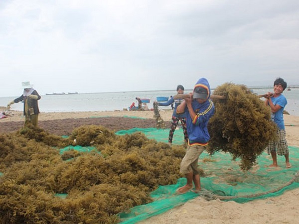 INTRODUCE - ATL GLOBAL