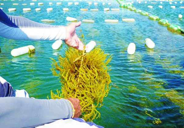 INTRODUCE - ATL GLOBAL